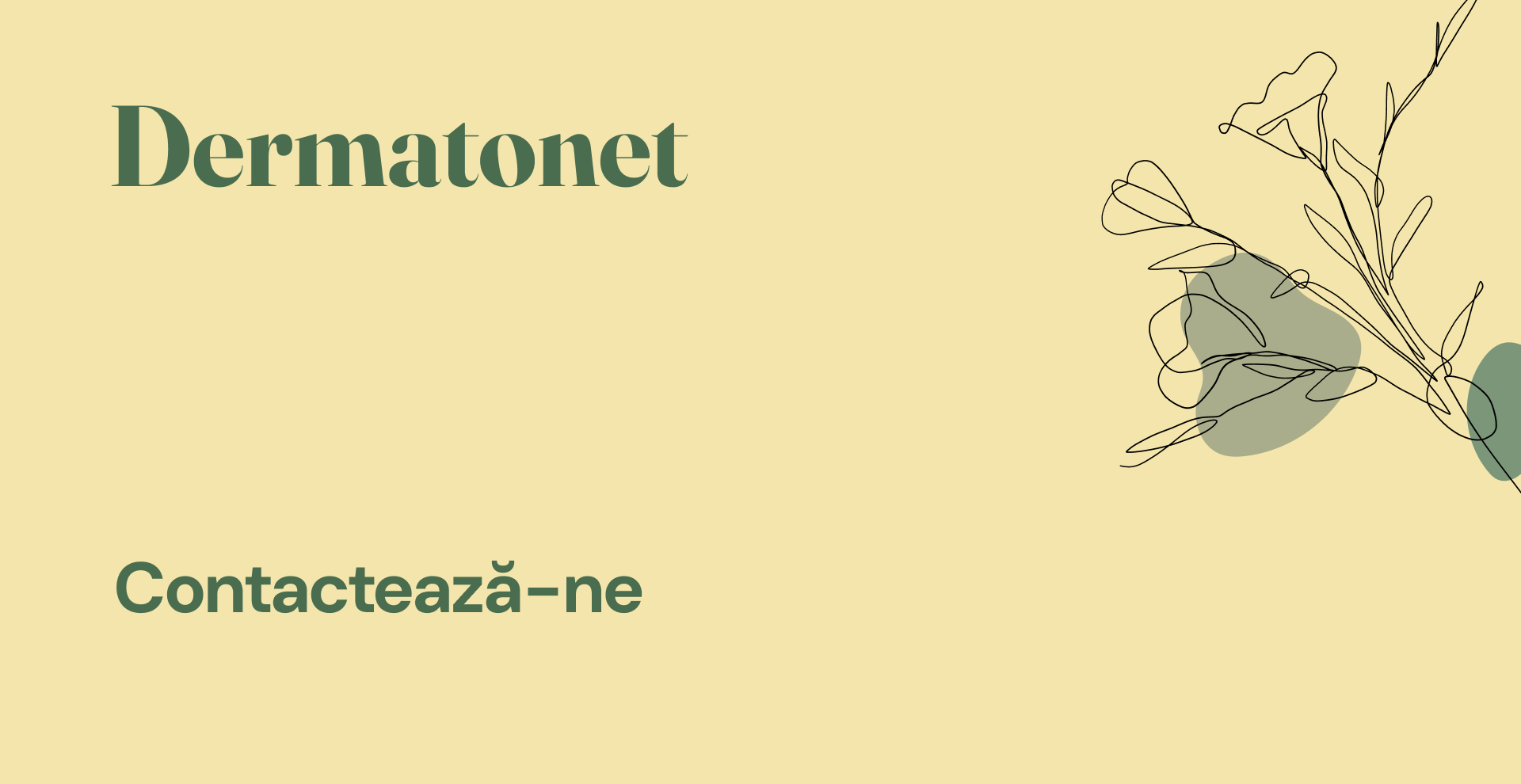 Contact Dermatonet | Programări la Dermatolog Timișoara